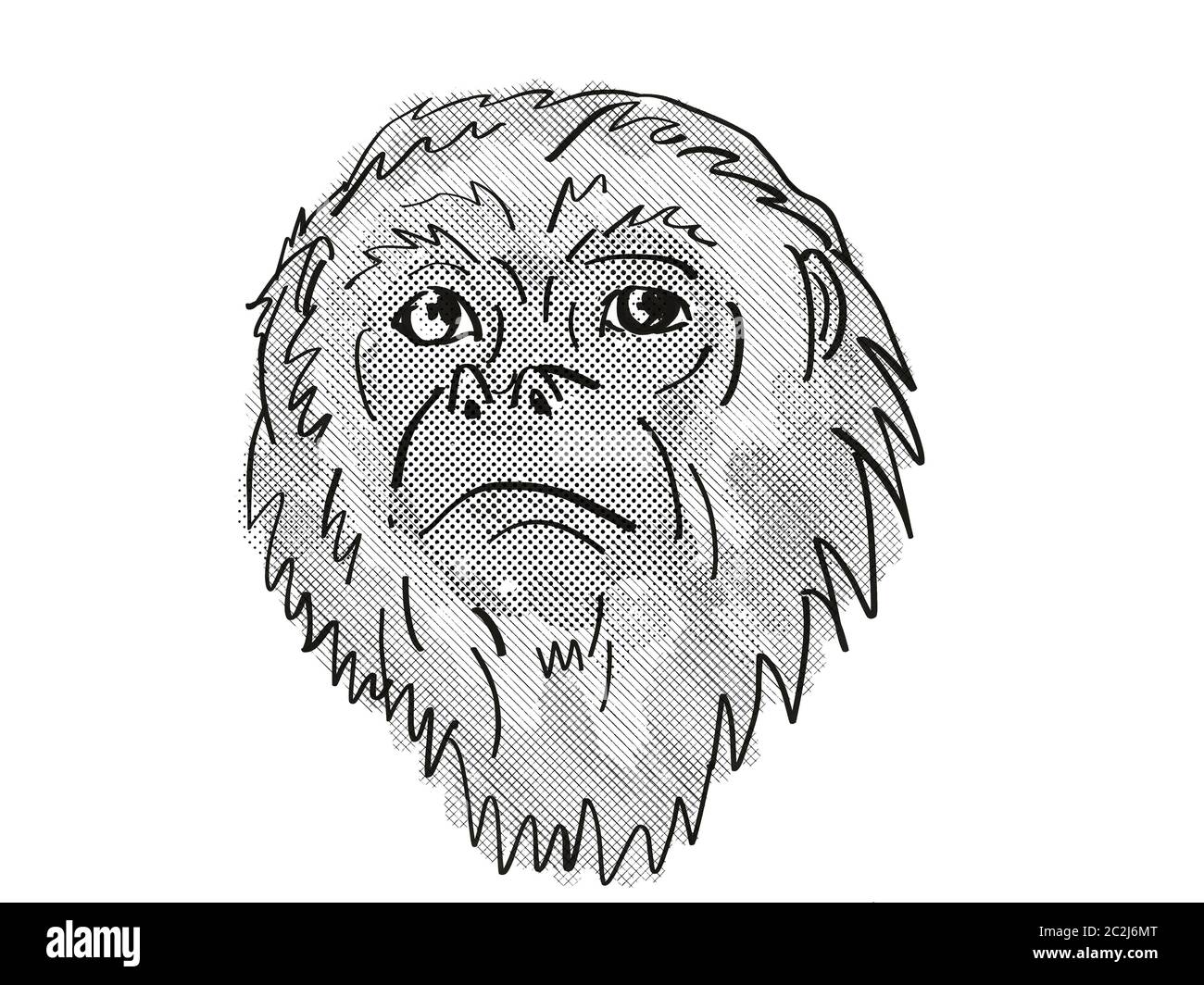 Retro cartoon style drawing head of a Yucatan Black Howler Monkey, a ...