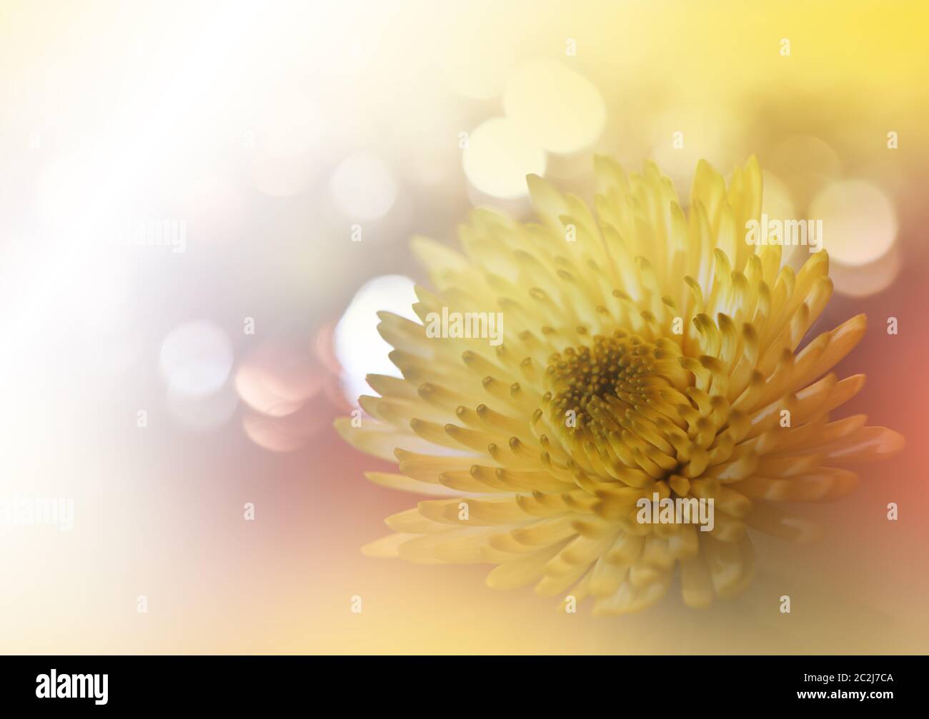 Soft card hi-res stock photography and images - Alamy