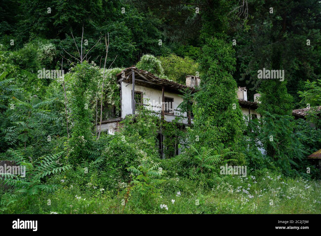 Abandoned cells of the Monastery of the Holy Transfiguration of God ...