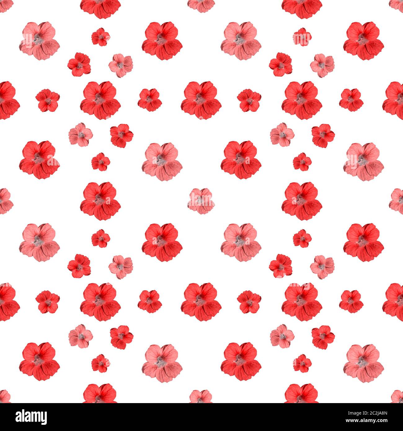 Beauty Flowers Collage Motif Seamless Pattern Stock Photo - Alamy