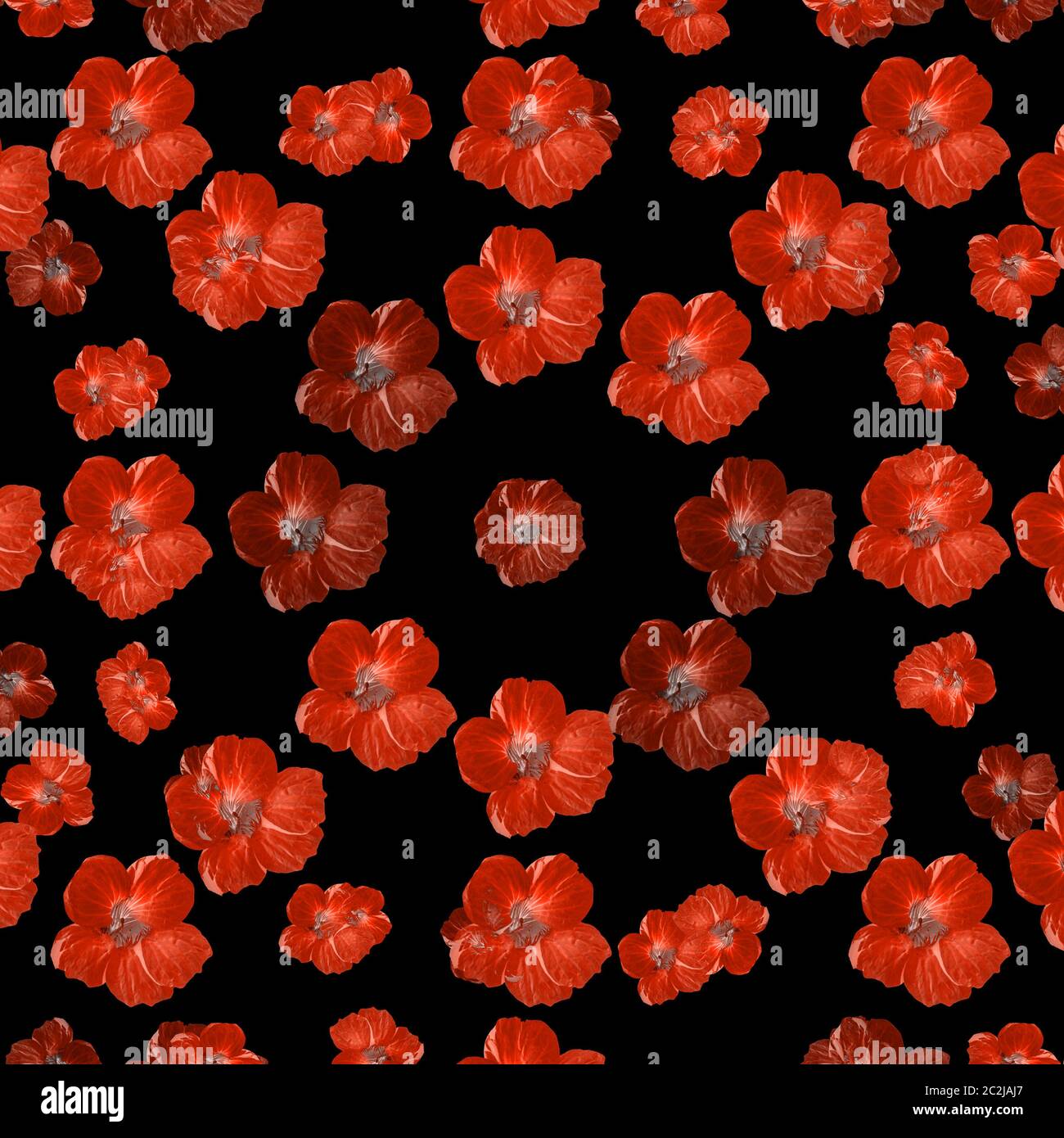 Printable flowers hi-res stock photography and images - Alamy