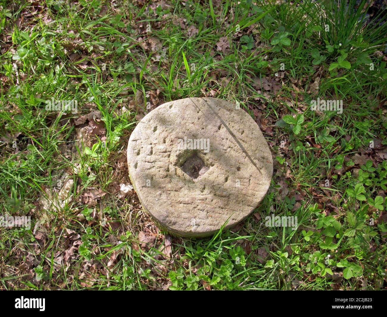 Very well worn millstone lying on the ground in woodland surrounded by ...