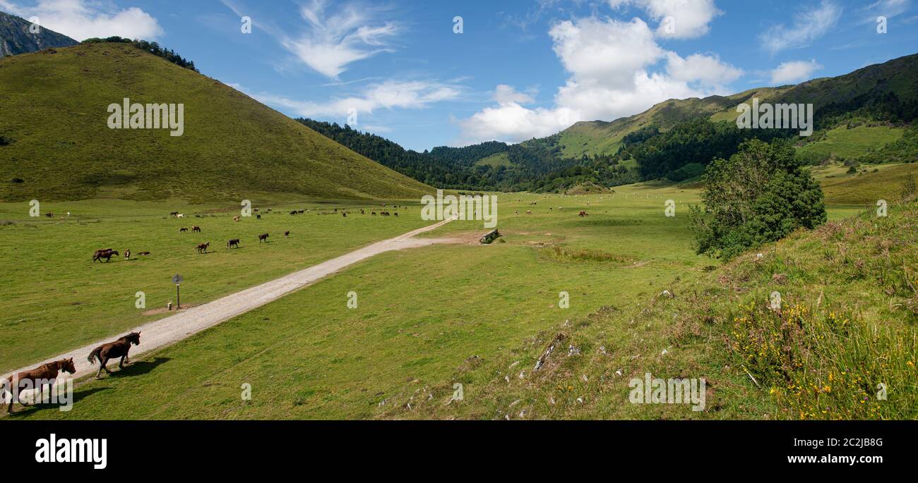a view of the Pyrenees mountain (plateau du benou Stock Photo - Alamy