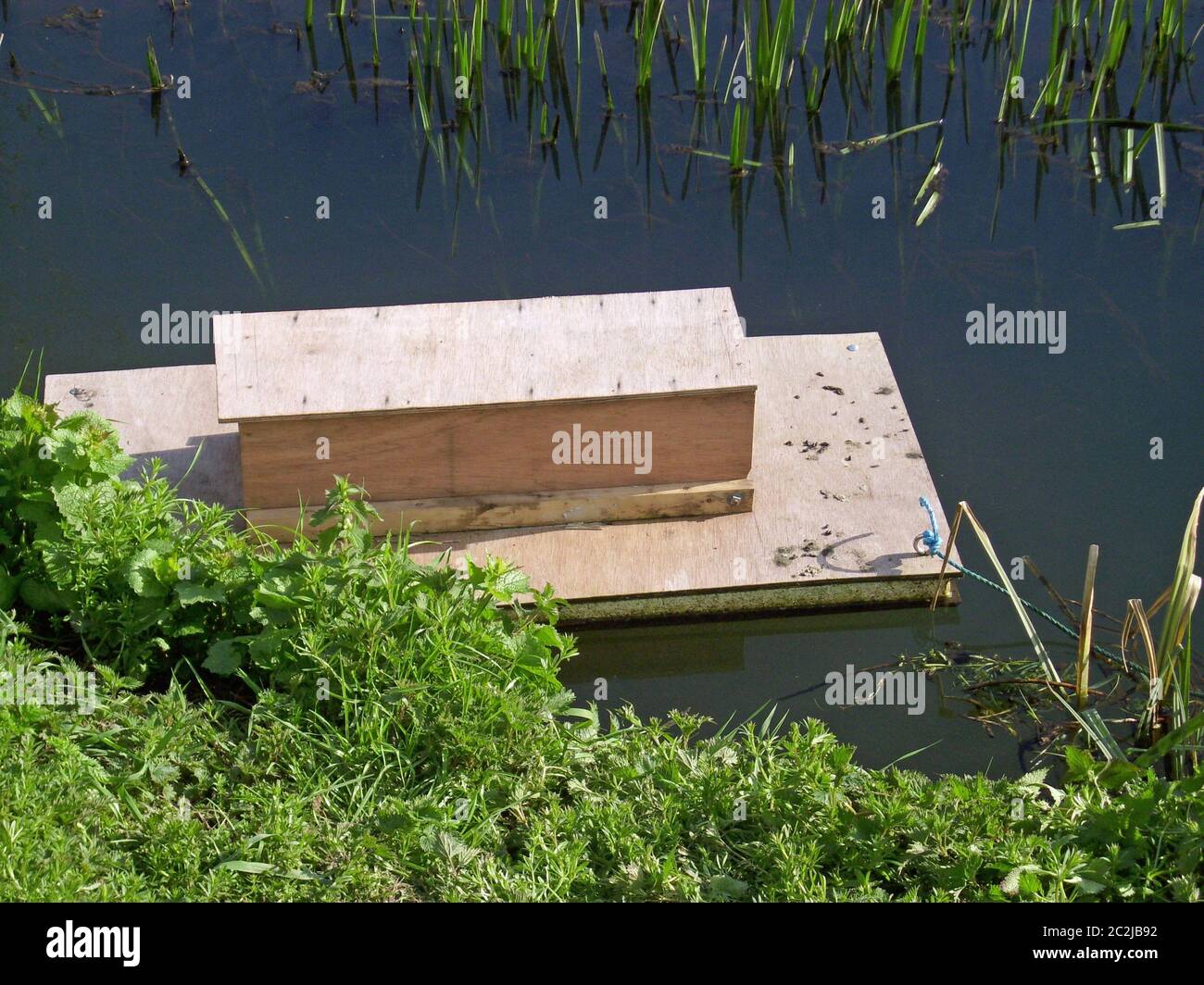 Floating otter survey board made from wood. To show the presence of ...