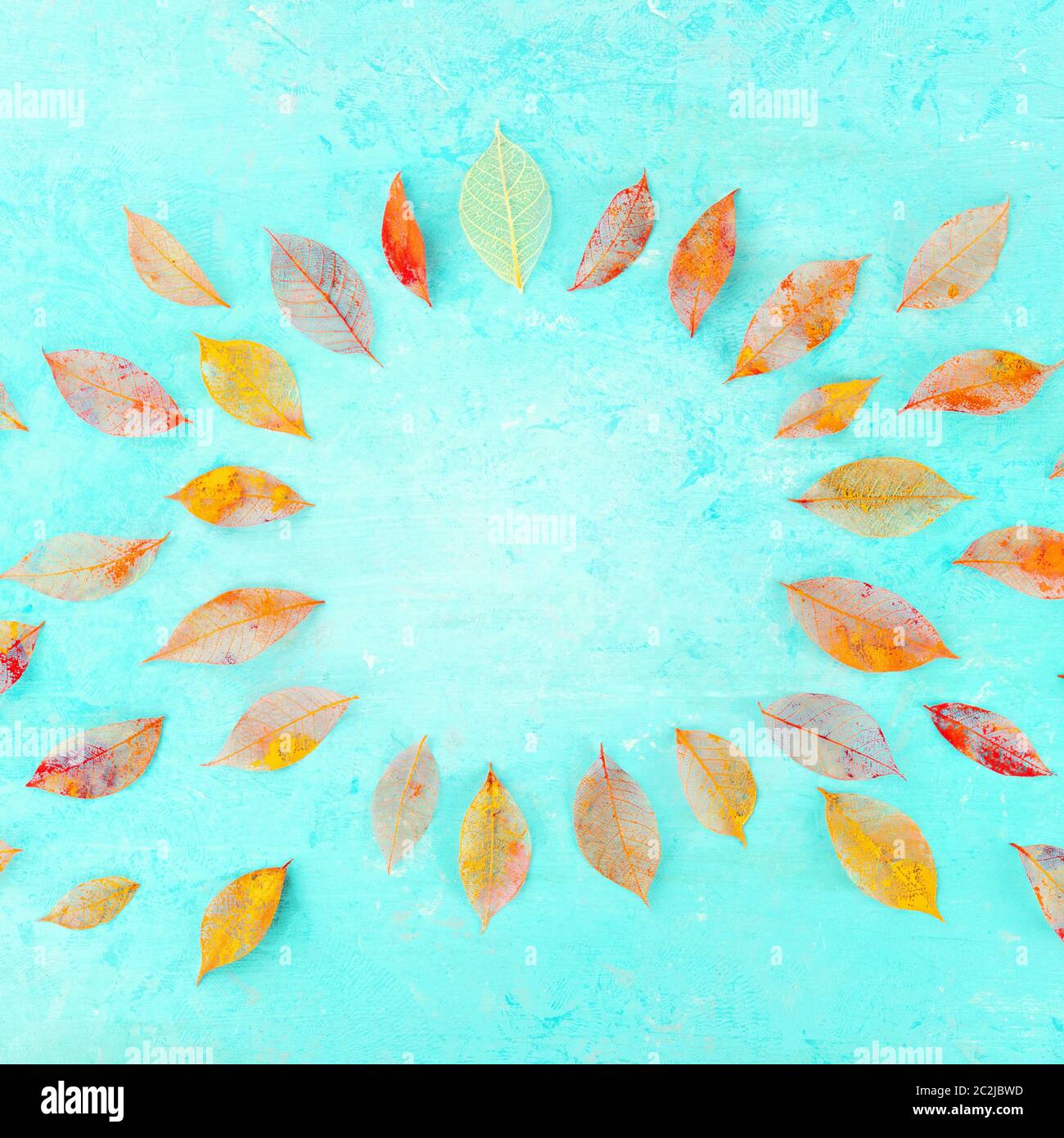 Autumn background with vibrant fall leaves on a teal texture, a square ...