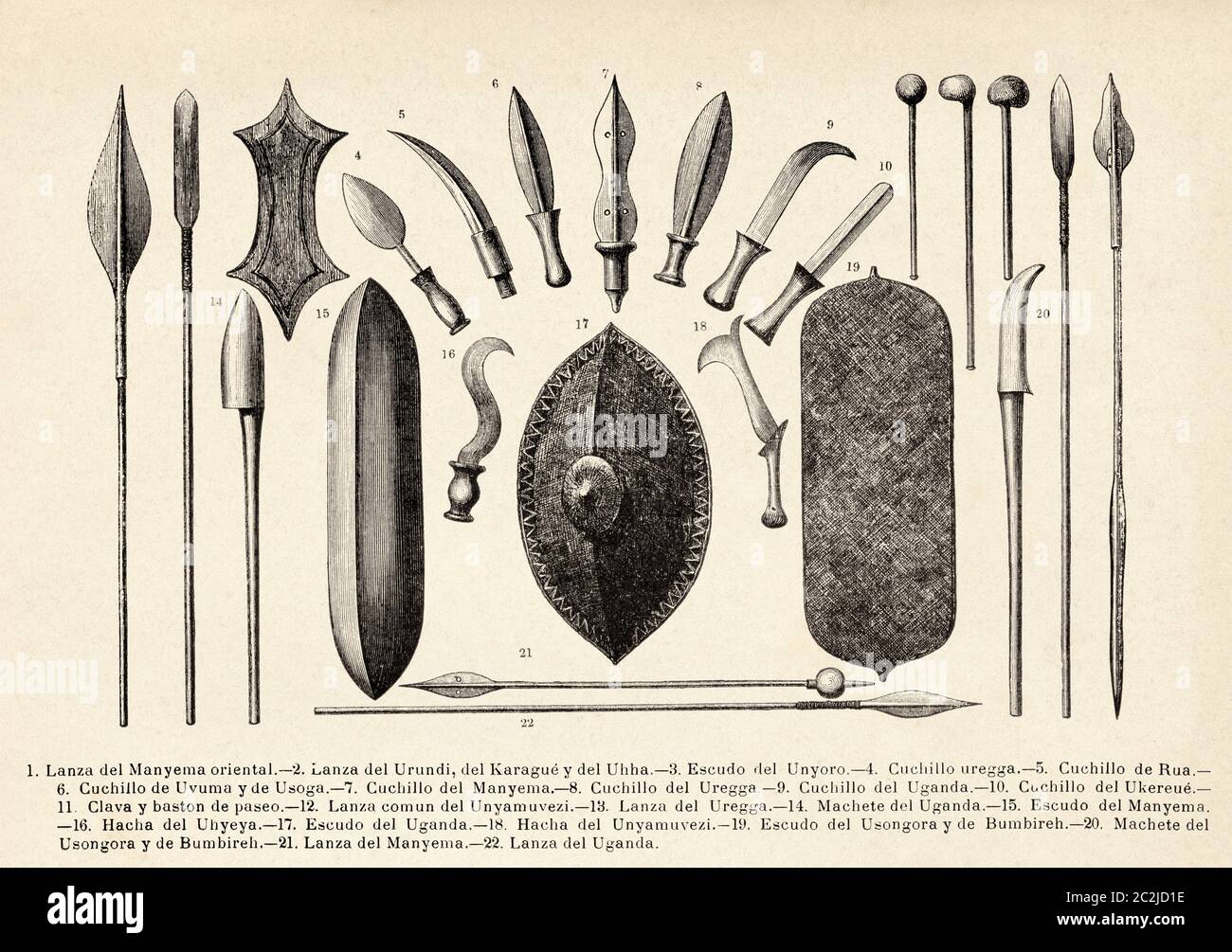 Spears, shields, knives and weapons of war of the indigenous tribes of ...
