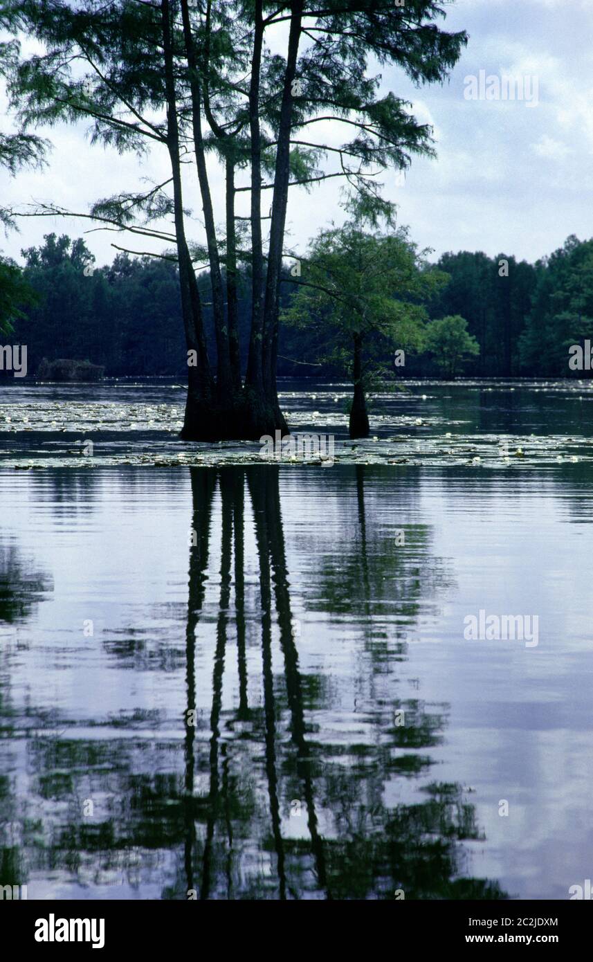 Mississippi delta hi-res stock photography and images - Alamy