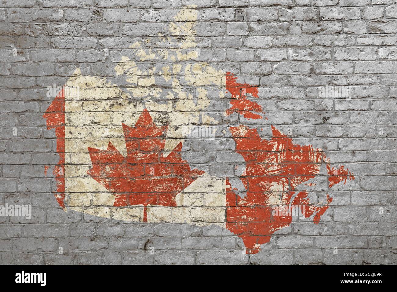 Grunge distressed map shaped flag of Canada painted on old weathered ...