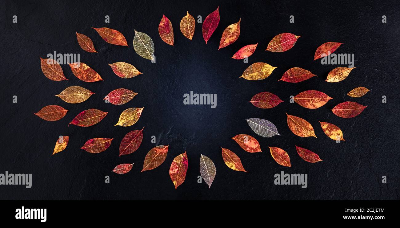 Panoramic autumn background with vibrant fall leaves forming a frame, a ...
