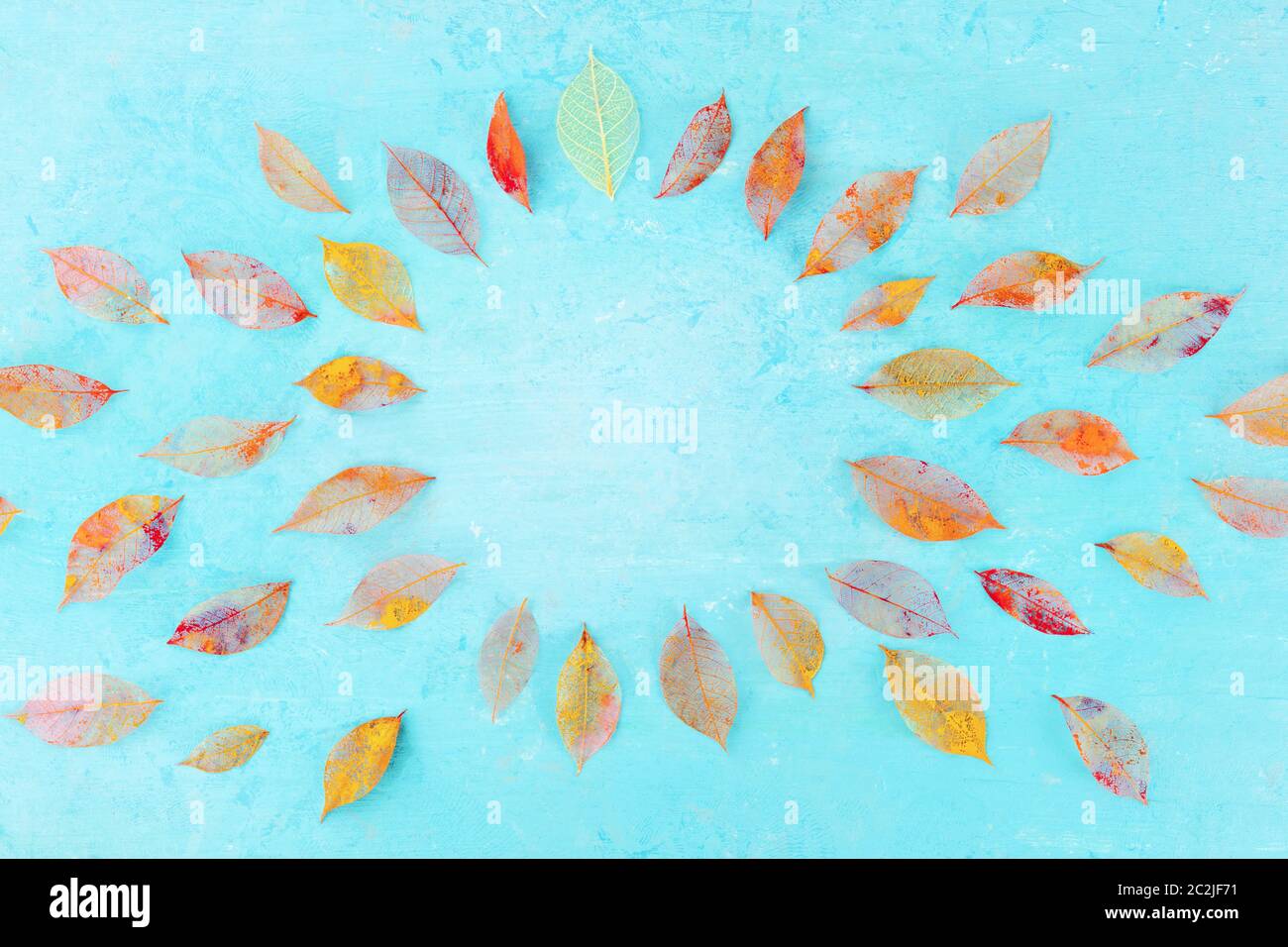 Autumn background with vibrant fall leaves on a blue texture, a design ...