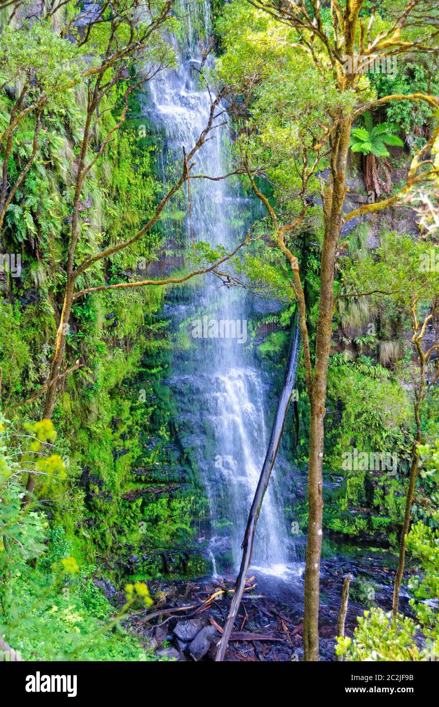 Erskine Falls is a 30-metre waterfall cascading into a gully - Lorne ...