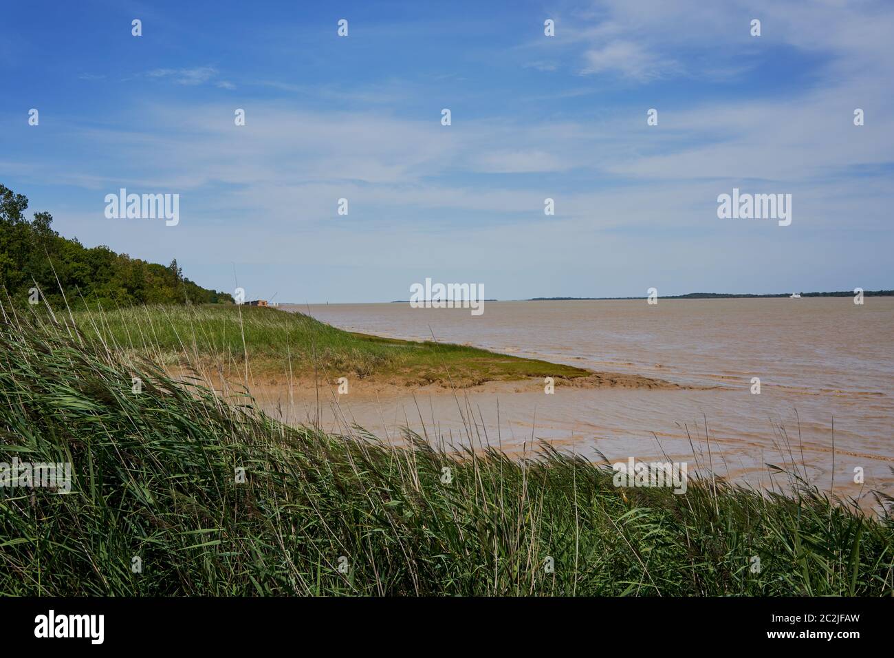 Bordeaux left bank france hi-res stock photography and images - Alamy