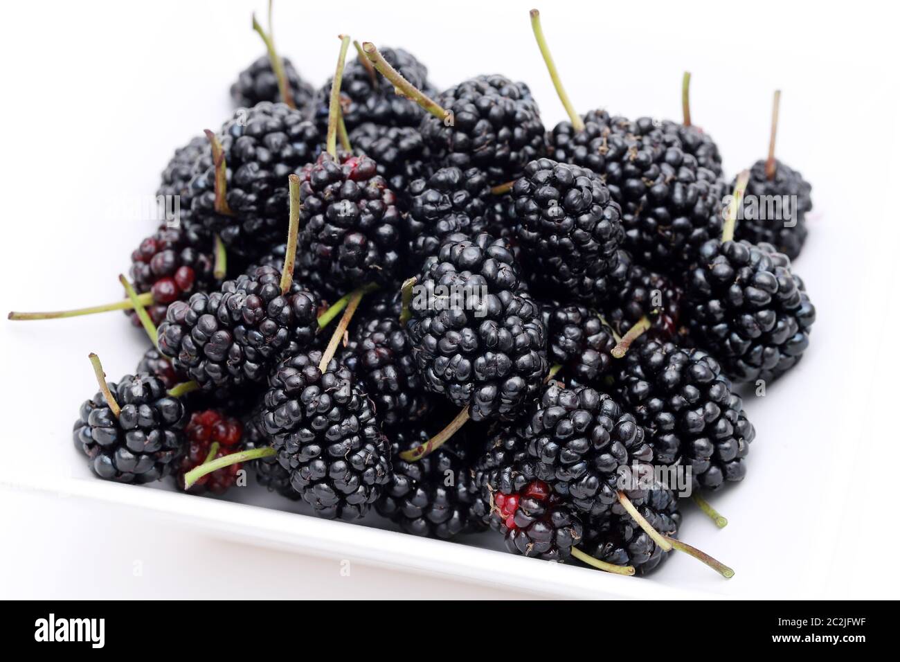 Black mulberry fruit hi-res stock photography and images - Alamy