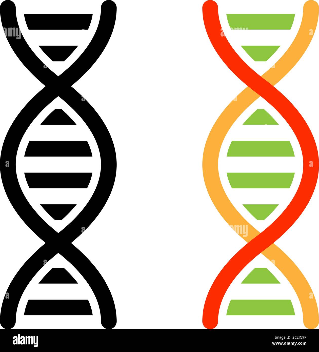 Dna Vector Illustrator
