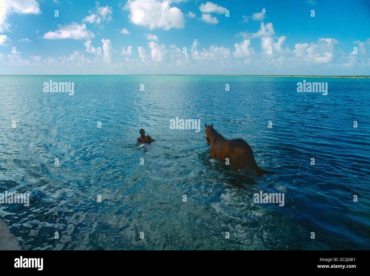 Codrington barbuda hi-res stock photography and images - Alamy