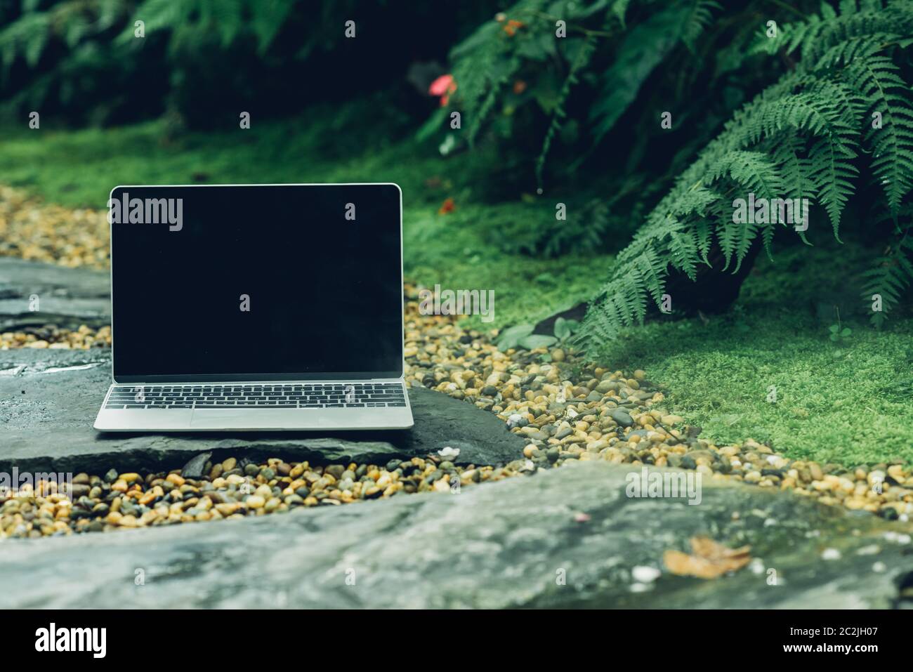 Laptop computer mockup has empty screen outside on stone in garden of ...