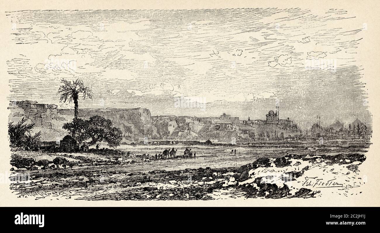 Road to the petrified forest, Ancient Egypt. Old 19th century engraved ...