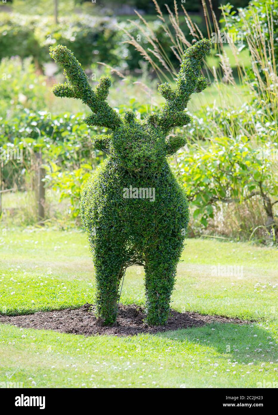 Topiary frame hi-res stock photography and images - Alamy