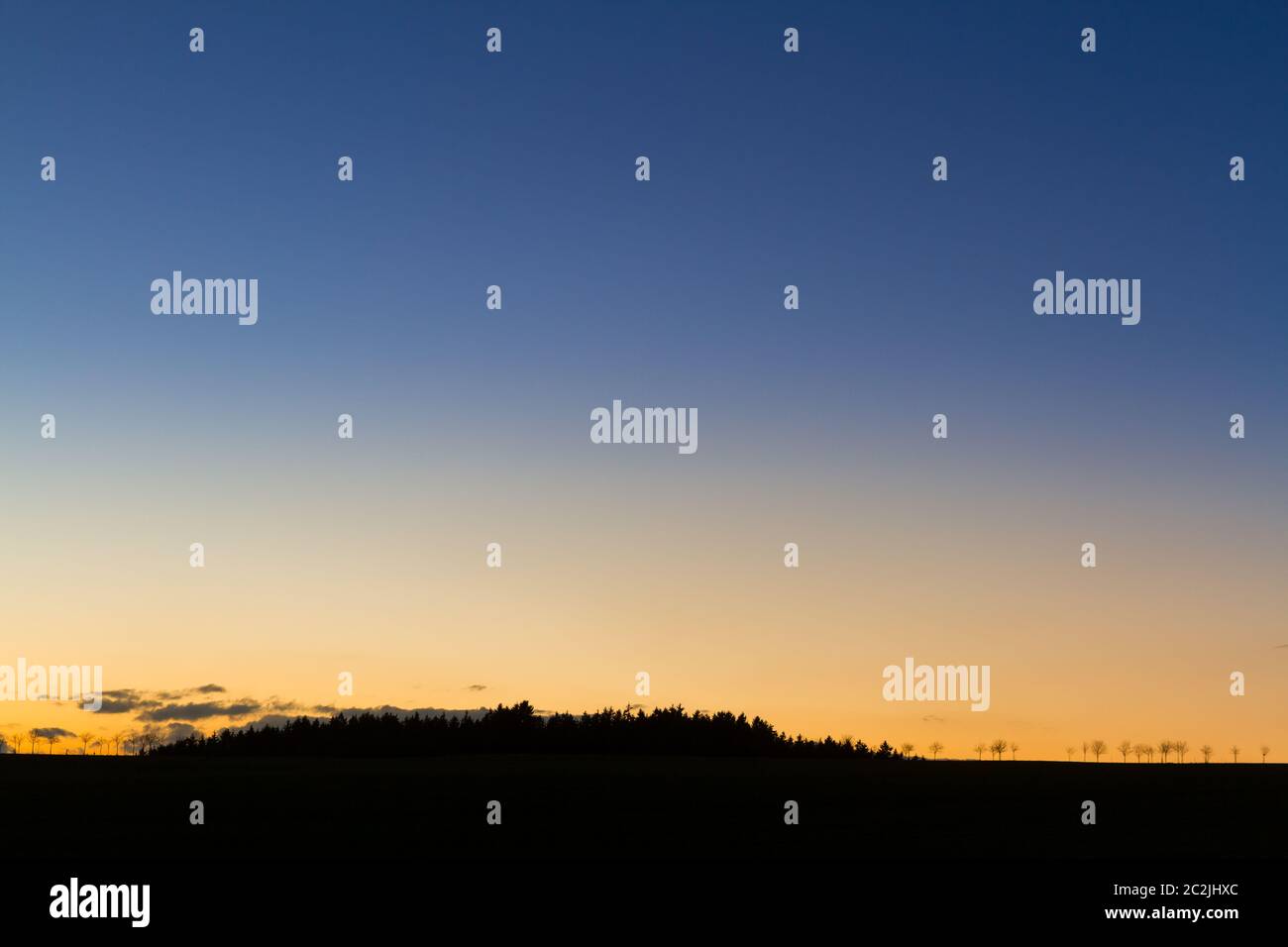 single standing tree against night sky Stock Photo - Alamy