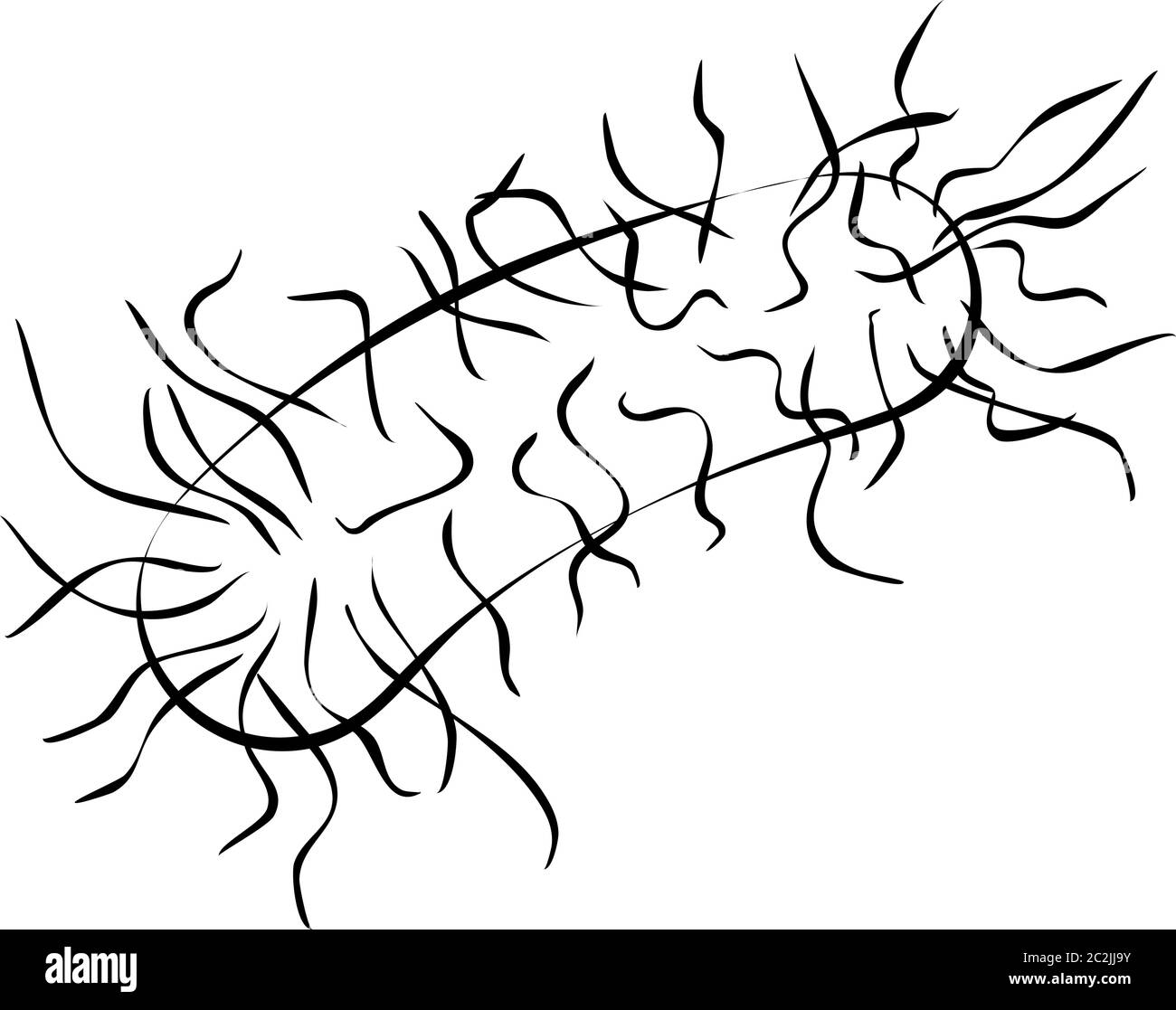 Bacteria Icon, Bacteria Vector Art Illustration Stock Vector Image ...