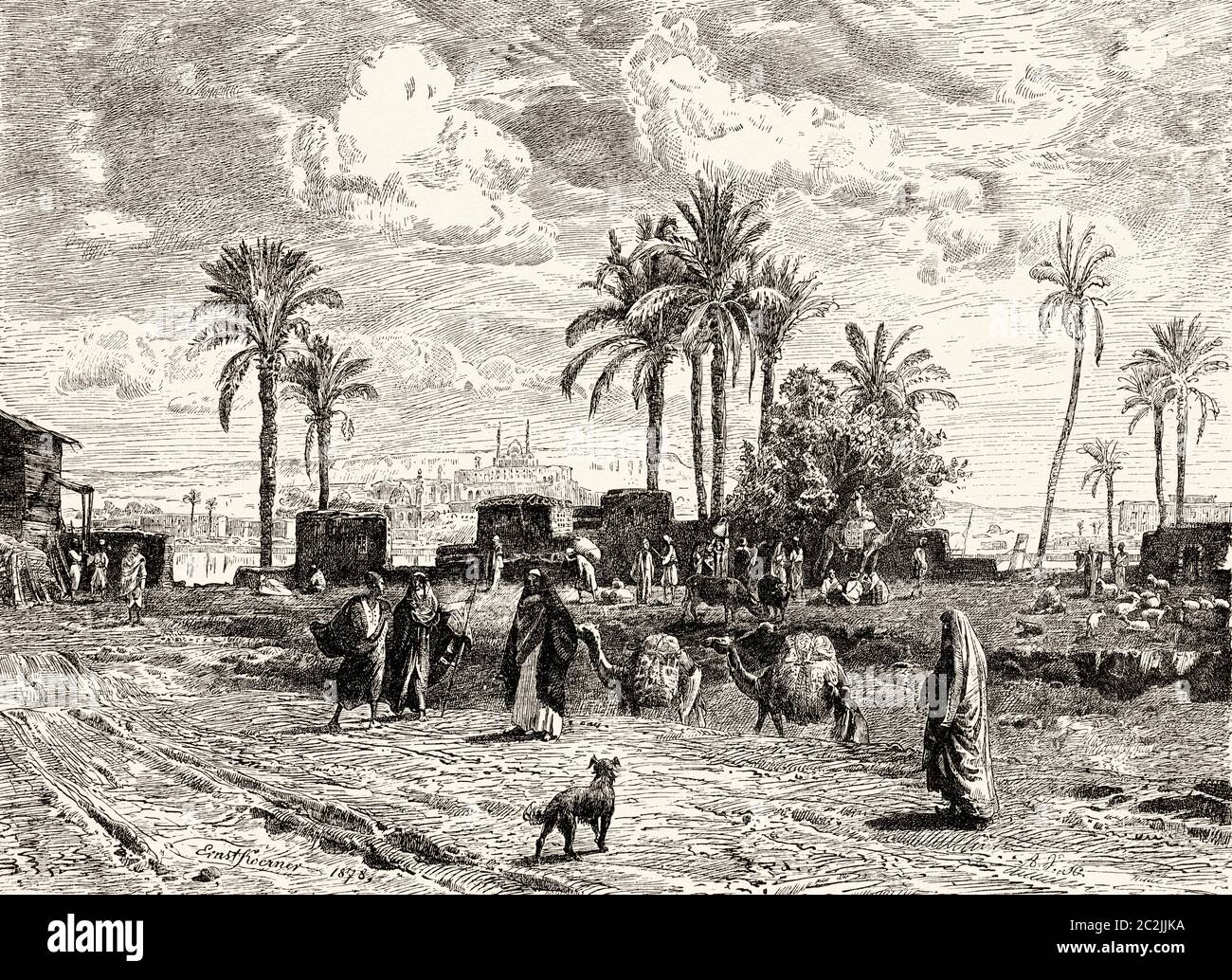 Panoramic general landscape view of the city of Cairo in the nineteenth ...
