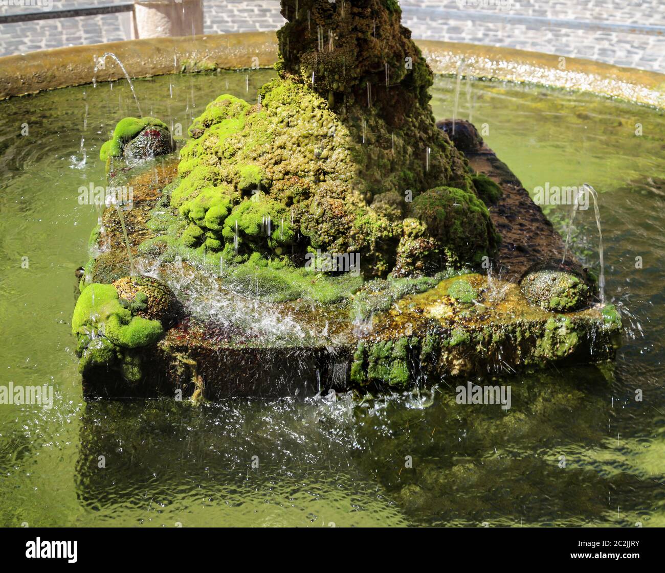Details of a moss and fern-covered fountain Stock Photo - Alamy