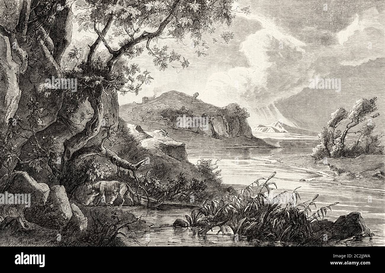 Romulus and Remus on the river Tiber suckled by a she-wolf, Rome ...