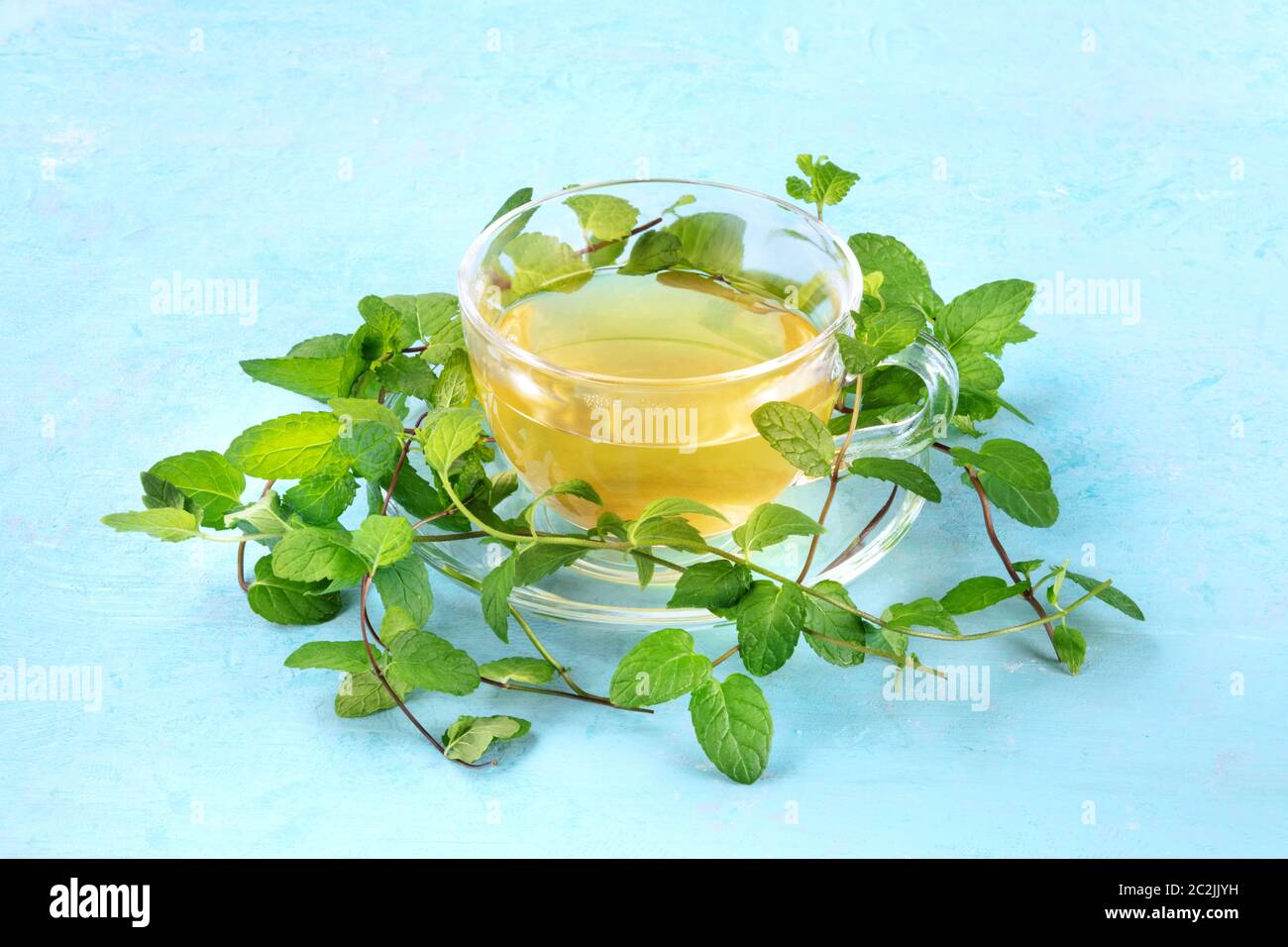 Mint tea cup on a blue background with vibrant fresh leaves Stock Photo ...
