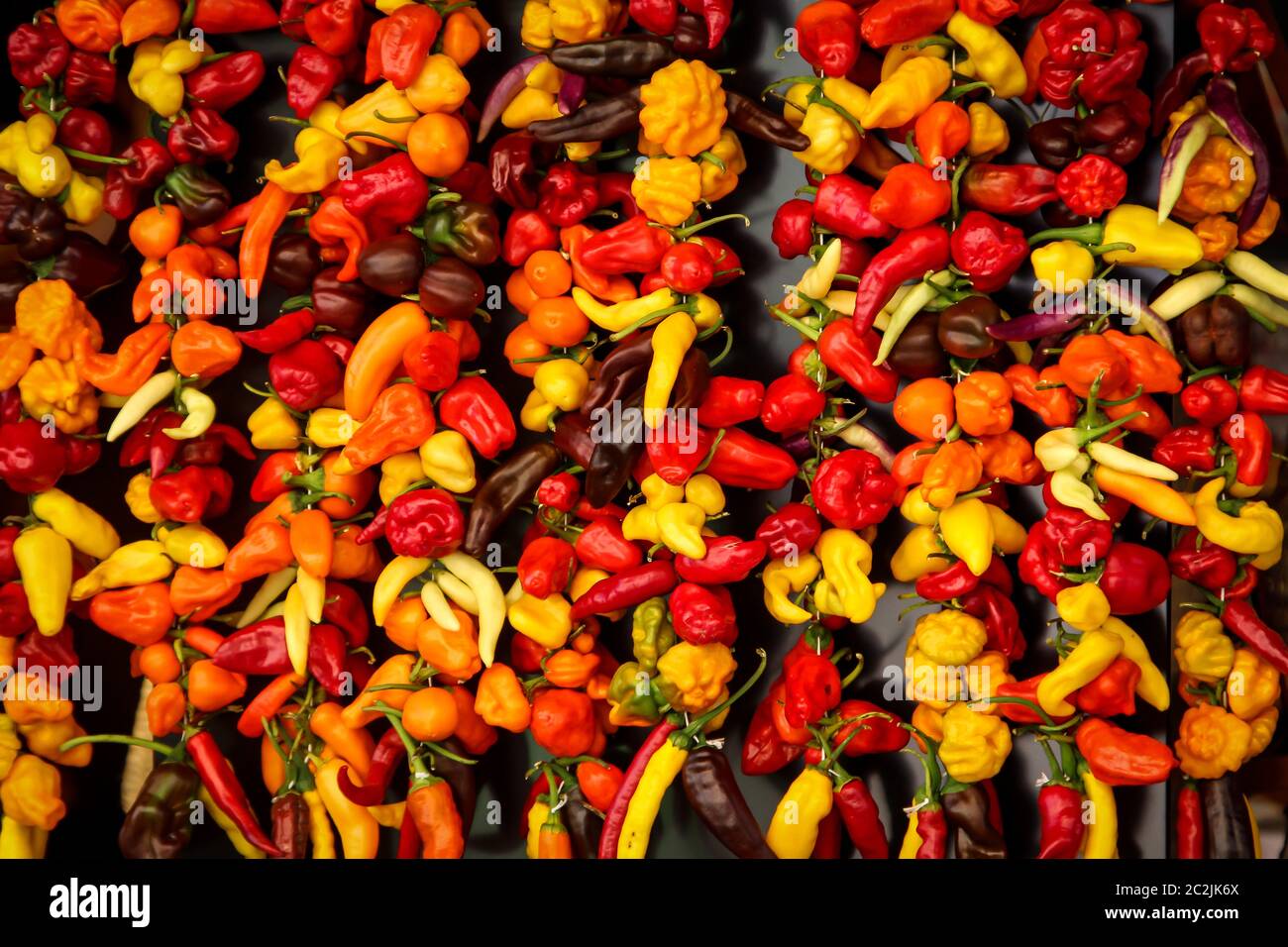 Paprika and pepperoni are threaded to dry Stock Photo - Alamy