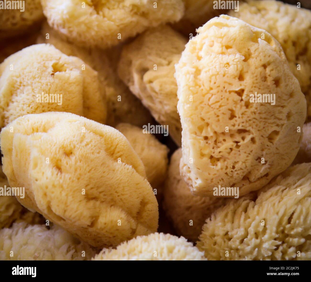 Real sponges hi-res stock photography and images - Alamy