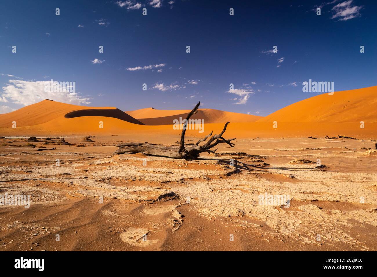 Sossousvlei Park, Deadvlei, Namibia Stock Photo - Alamy