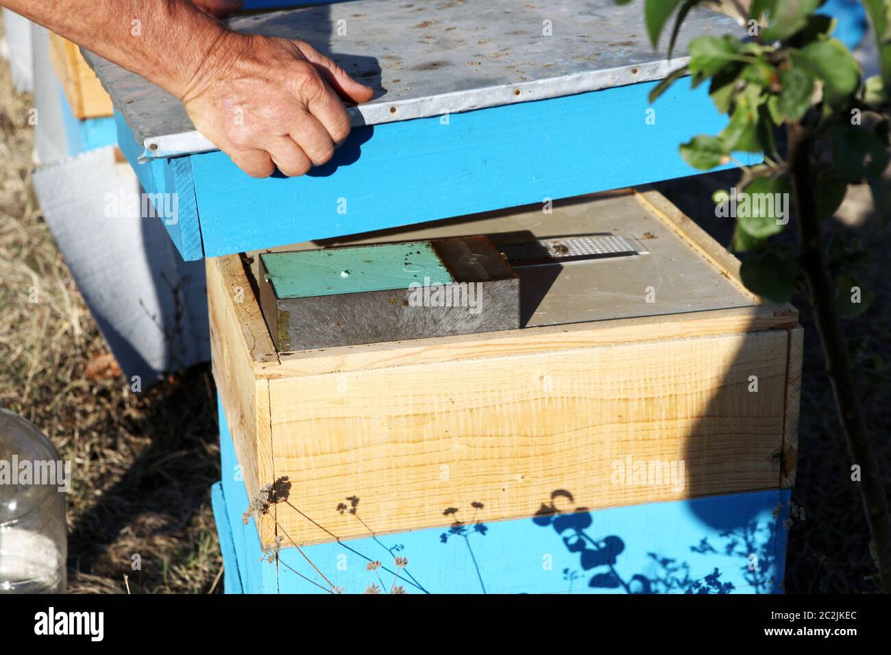 Preparing honey bees for winter Stock Photo - Alamy