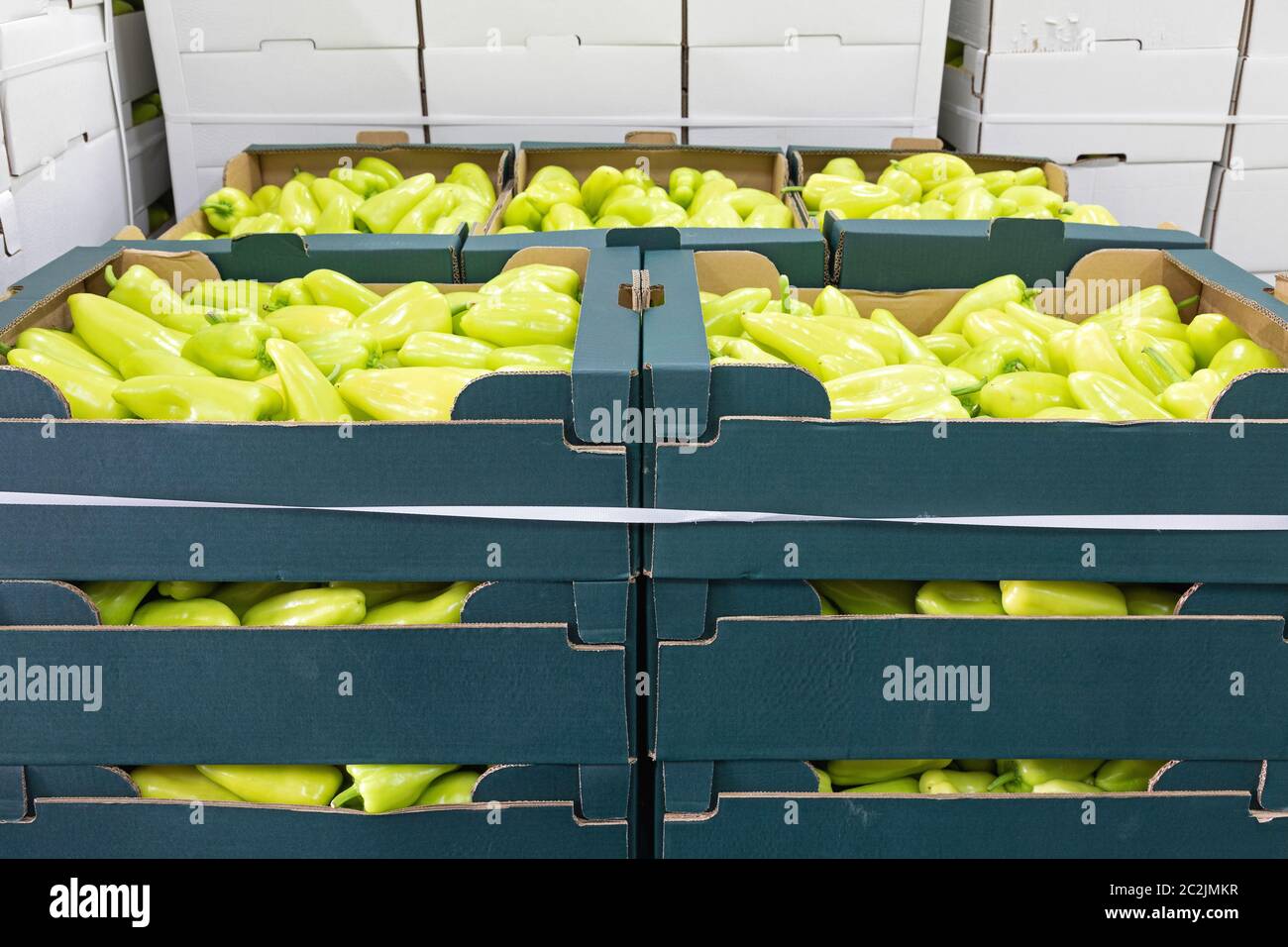 Green Peppers in Boxes Storage Warehouse Stock Photo - Alamy