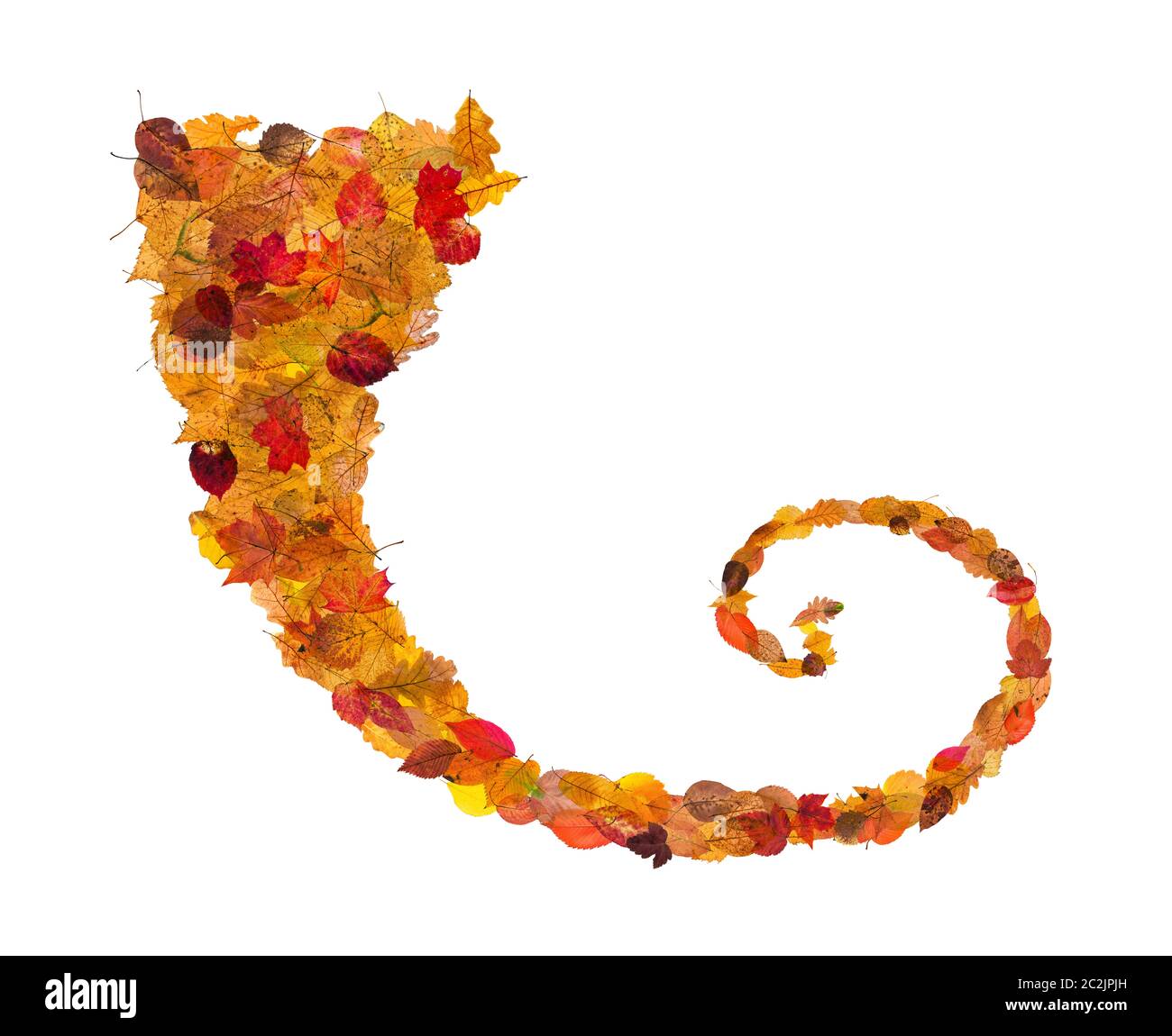 collage from many natural autumn leaves - curl from fallen leaves ...