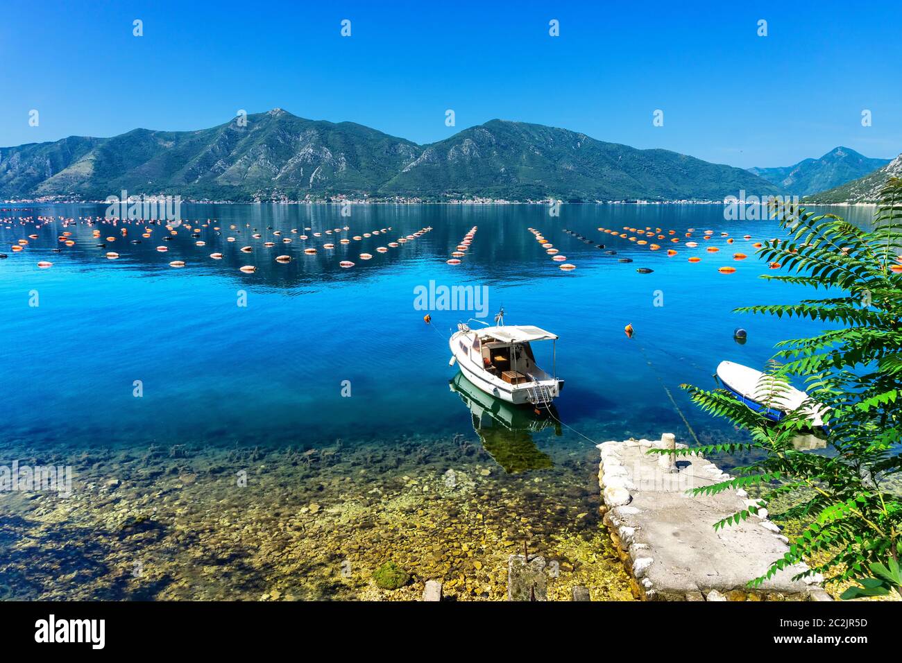 Landscape of mussel farm with boat close to Bay Kotor in Montenegro ...