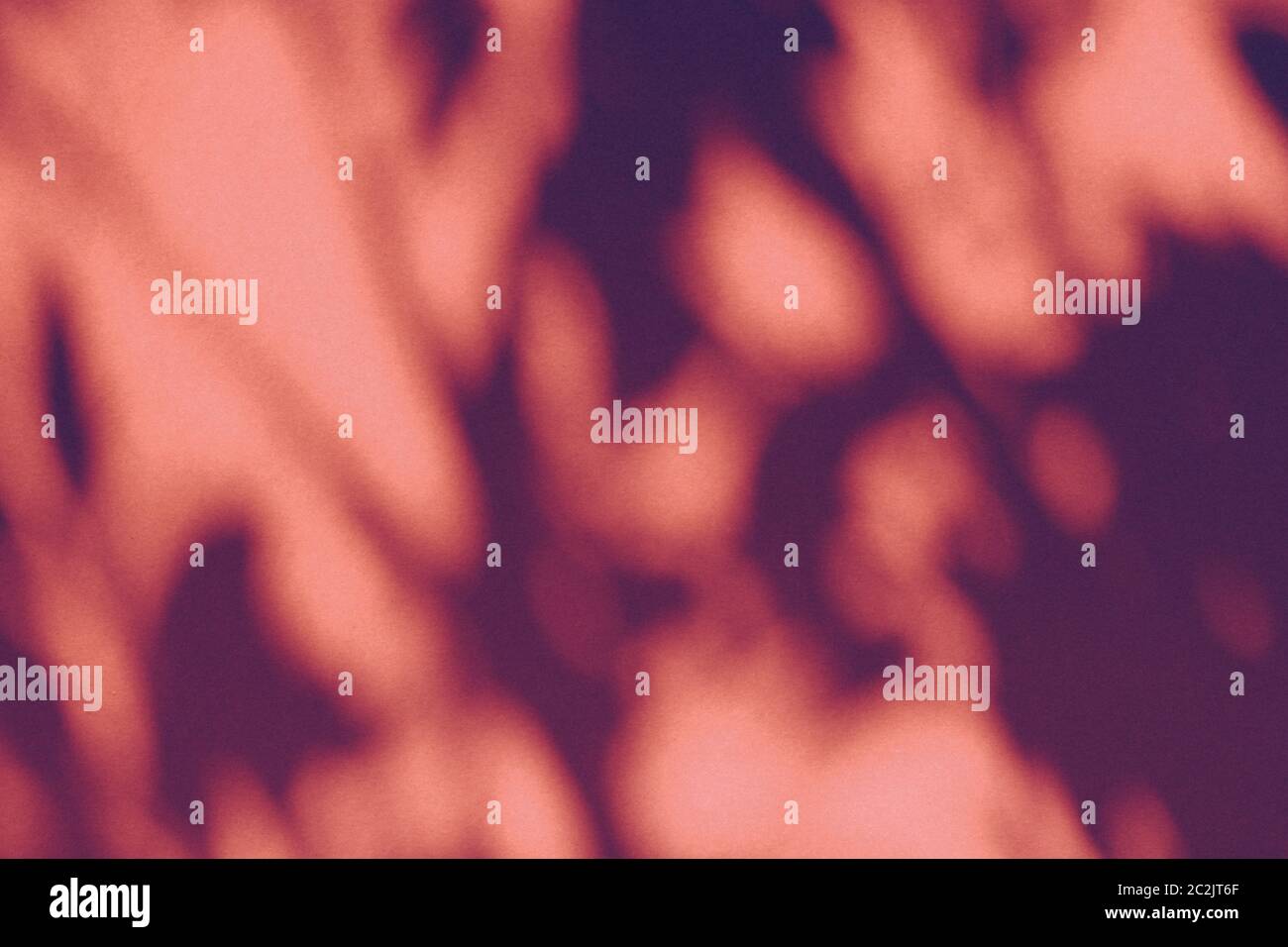 Abstract art, botanical shadows overlay on brown background for holiday ...