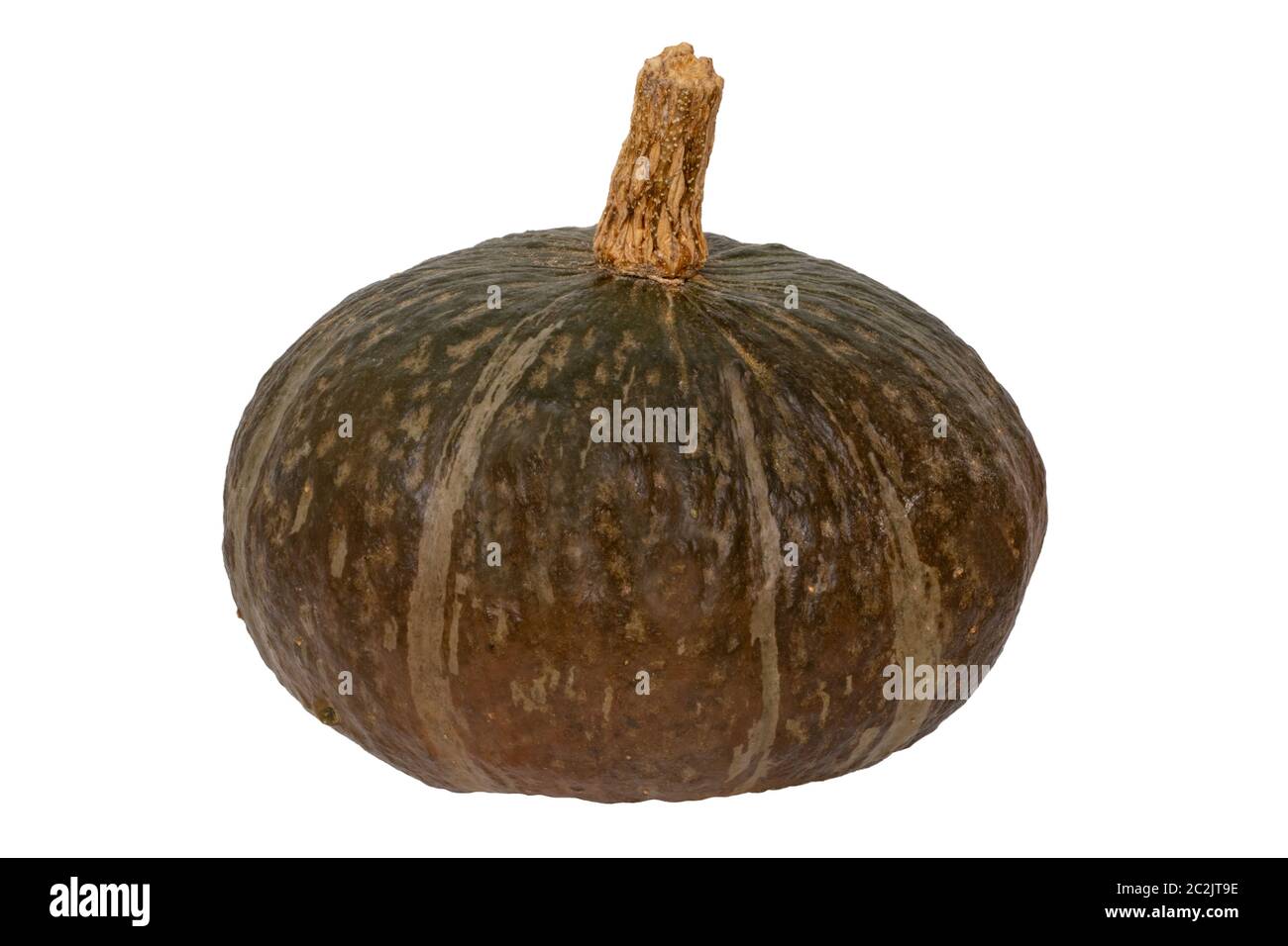Pumpkin isolated. Close-up of a green Blue Kuri pumpkin isolated on a ...