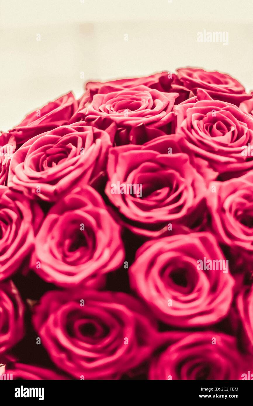 Romantic luxury bouquet of pink roses, flowers in bloom as floral ...