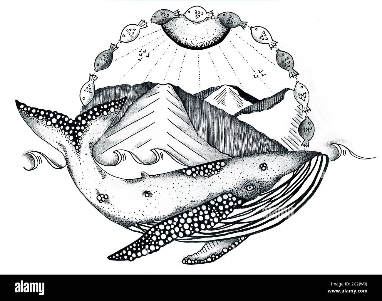 Circular illustration of a Humpback Whale swimming with ink and pencil ...