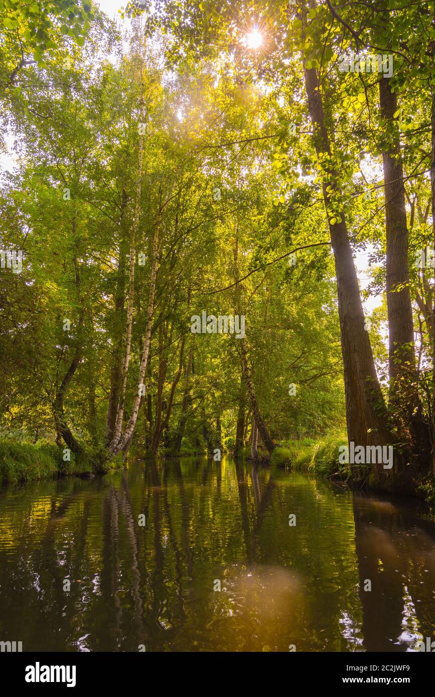 Spreewald Biosphere Reserve High Resolution Stock Photography and ...