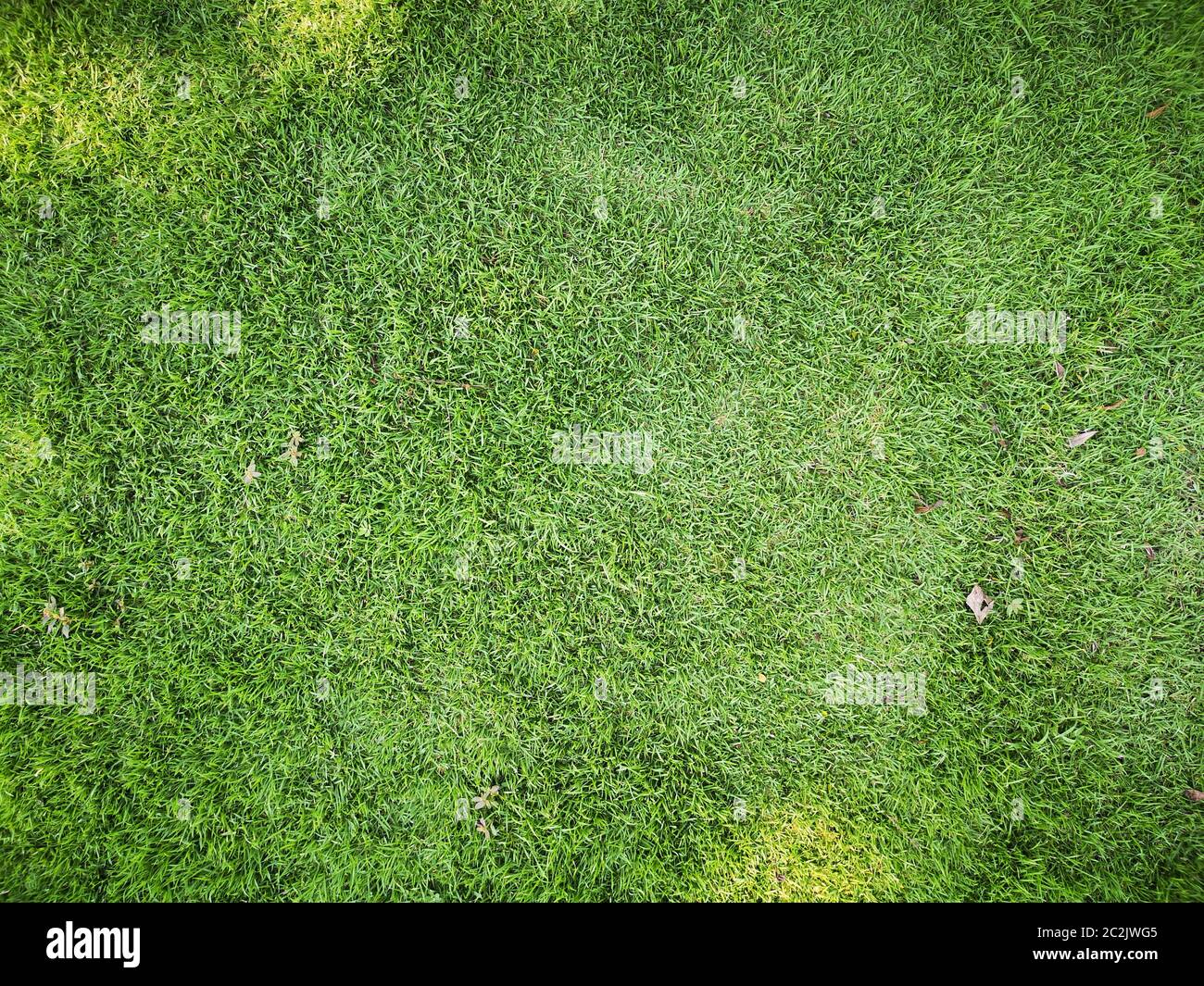 Detailed green grass lawn background and texture seen from above Stock ...