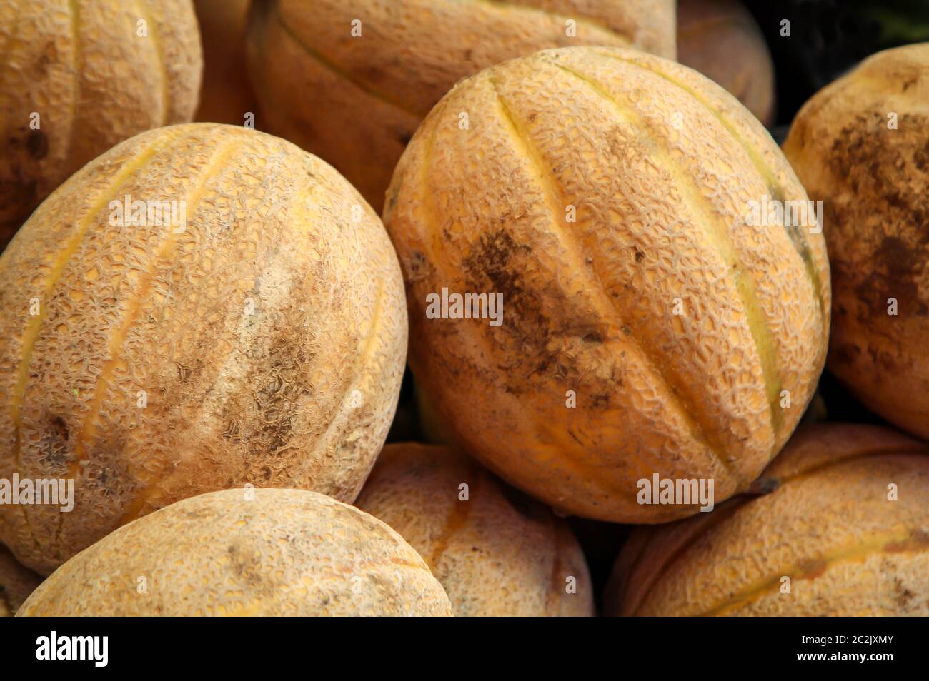 Melon green nutmeg hi-res stock photography and images - Alamy
