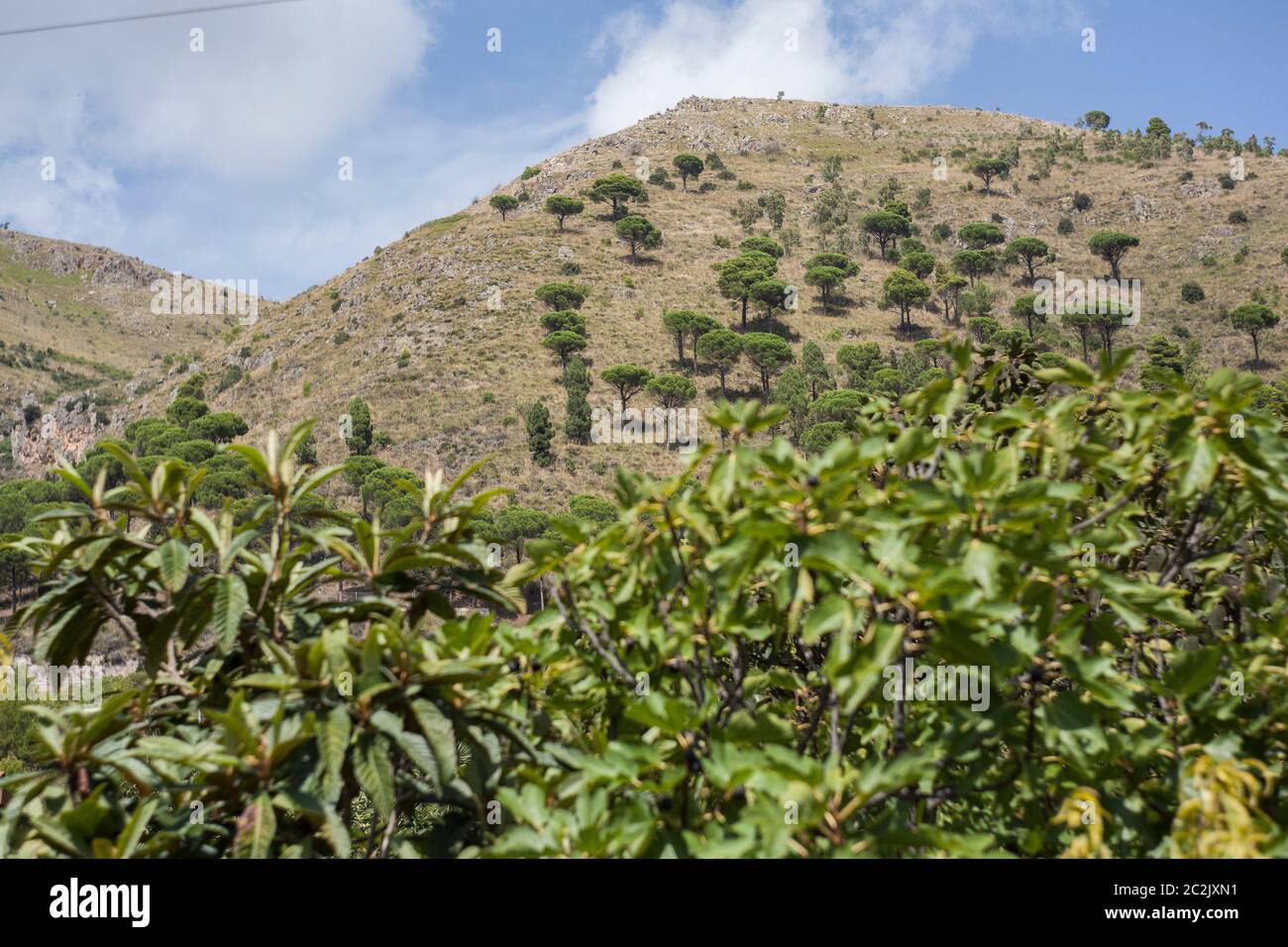 Monreale hills hi-res stock photography and images - Alamy