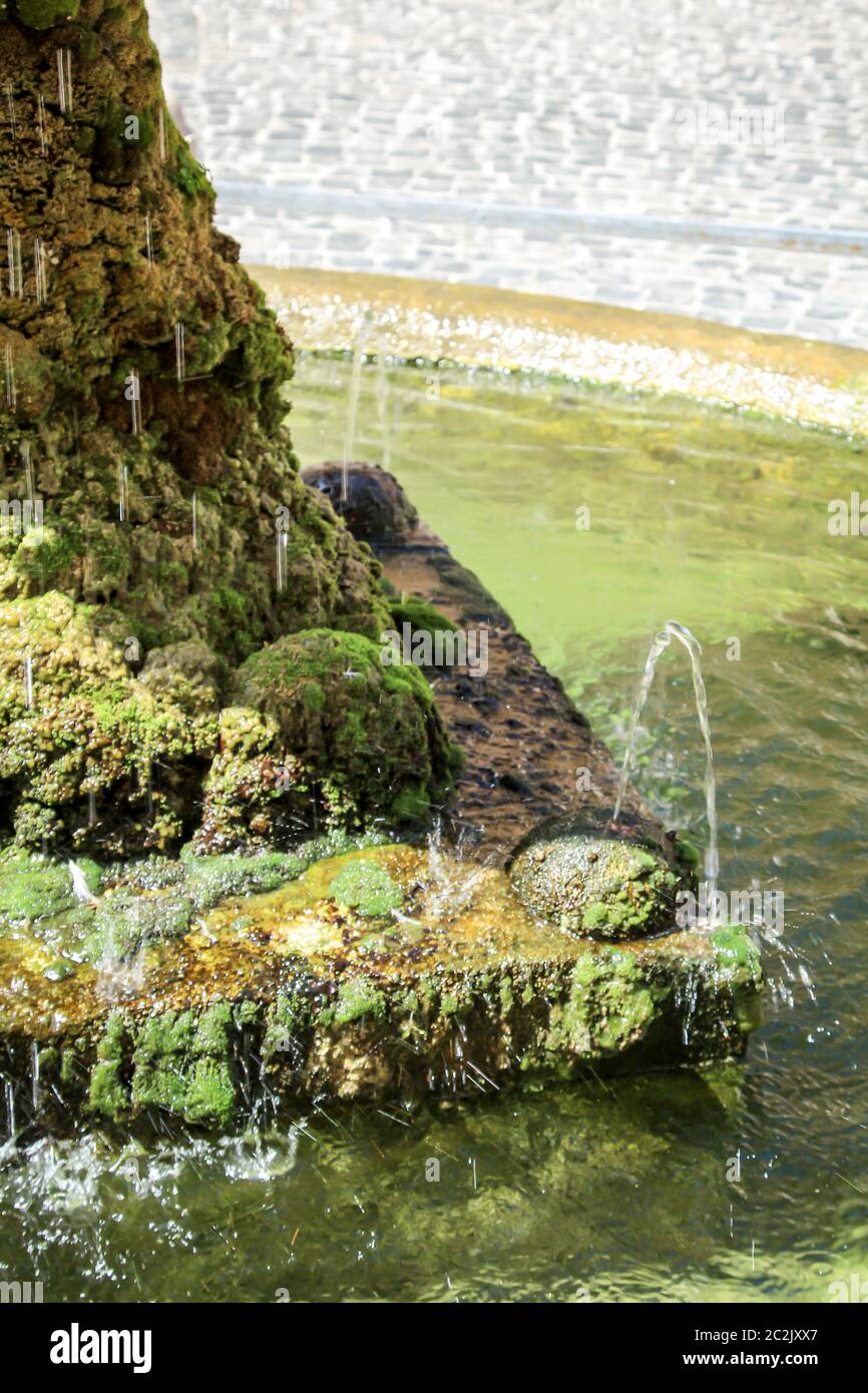 Details of a moss and fern-covered fountain Stock Photo - Alamy