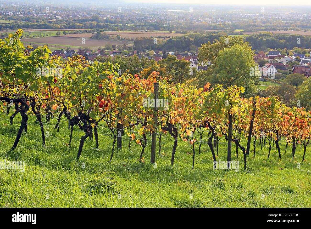 Malsch hi-res stock photography and images - Alamy