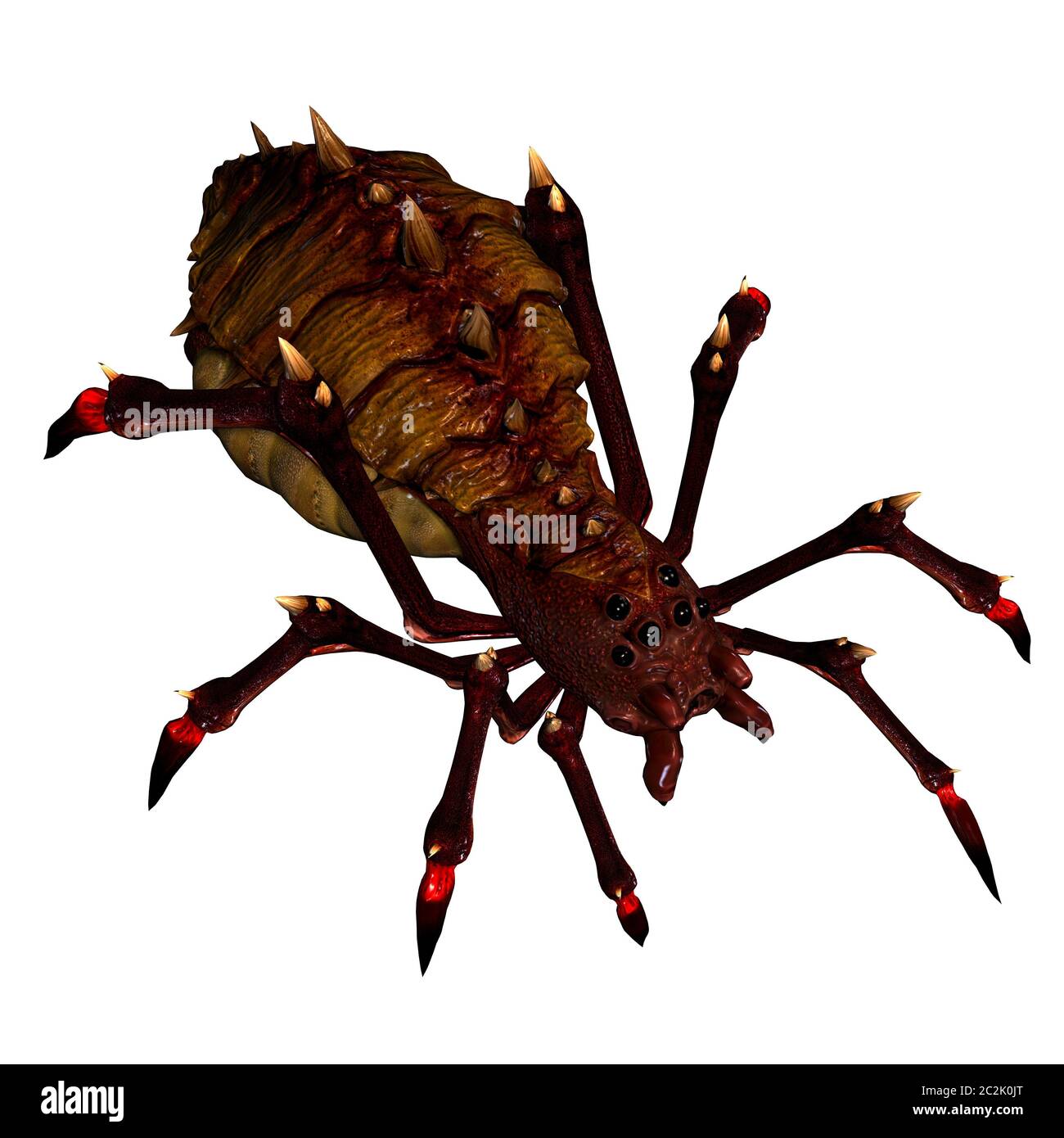 fantasy spider - sideview from left Stock Photo - Alamy