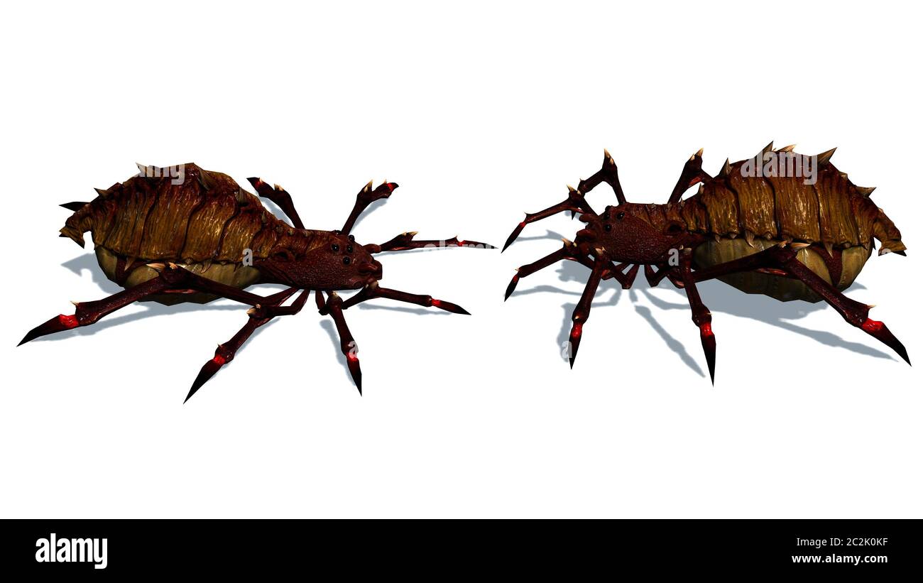 two fantasy spiders fight against each other Stock Photo - Alamy