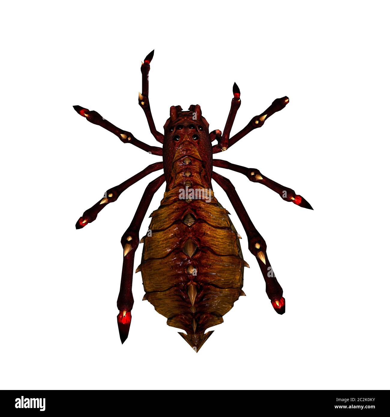 fantasy spider - top view Stock Photo - Alamy