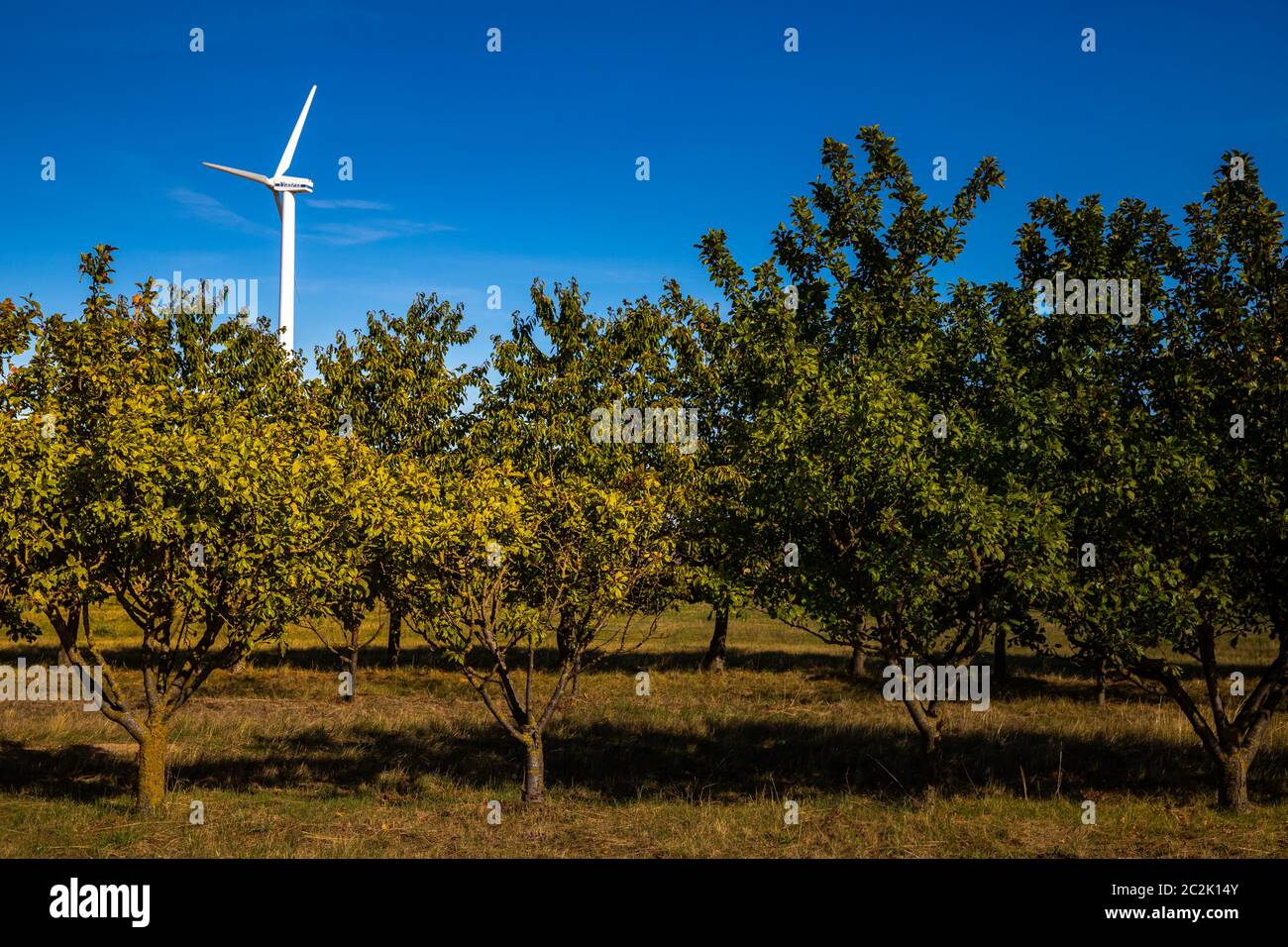 Orchard meadow and wind turbine Wind energy Stock Photo - Alamy