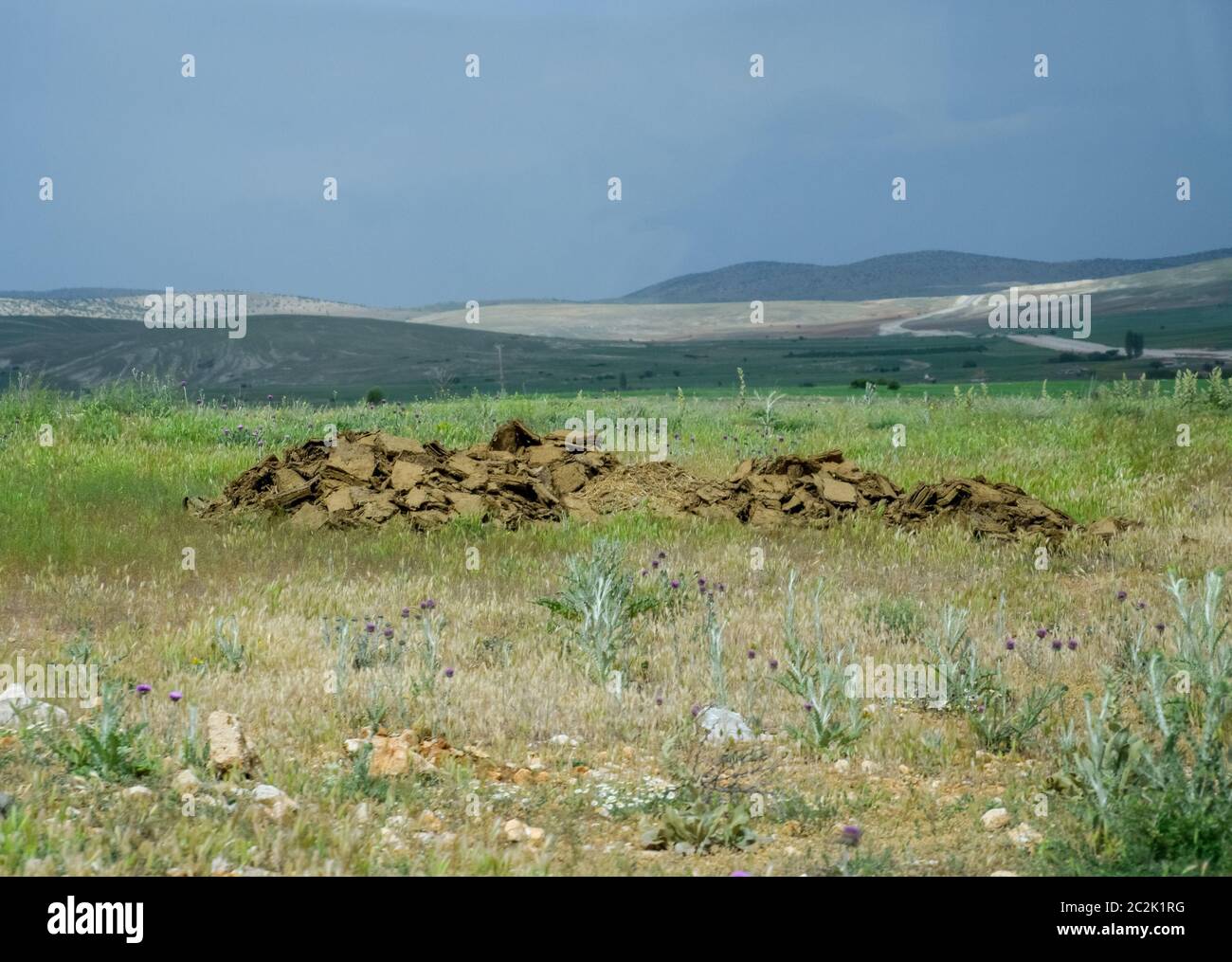 Piles of manure in the field. Cow and horse manure with land Stock ...